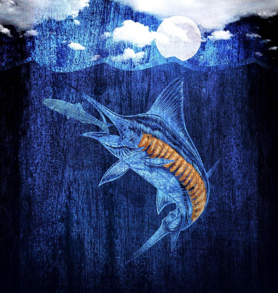 Free Stock Photo of Blue Marlin Hunting Its Prey - Iconic Animals ...