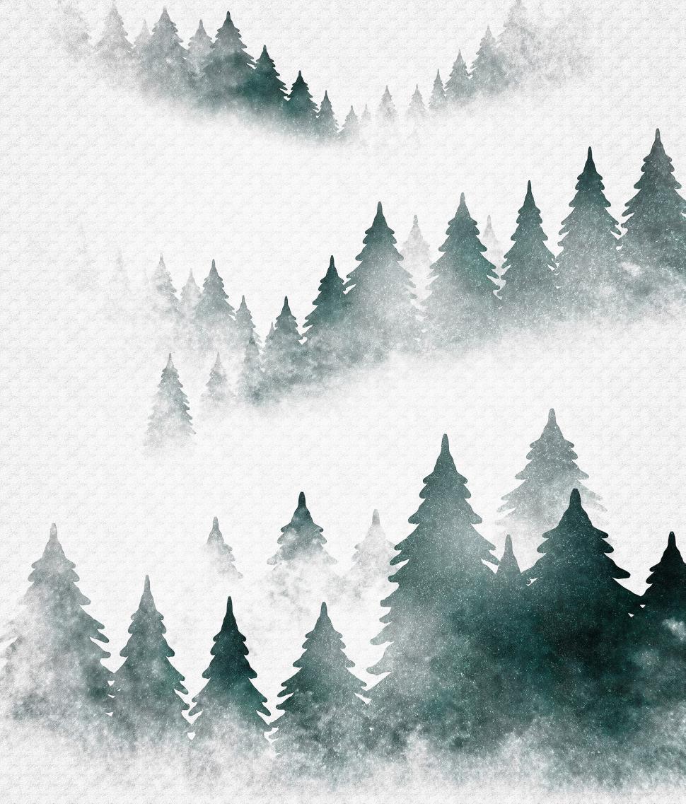 Free Stock Photo of First Snowfall of the Year in the Forest | Download ...