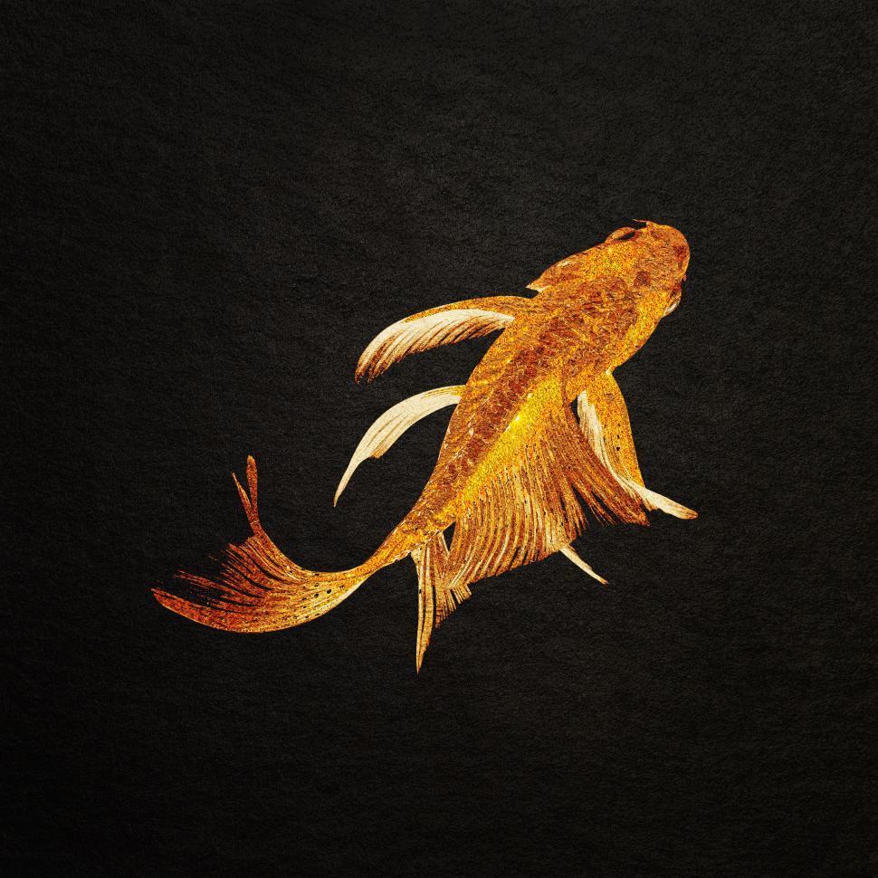 Free Stock Photo of Koi Carp - Golden Texturized Koi Carp | Download ...