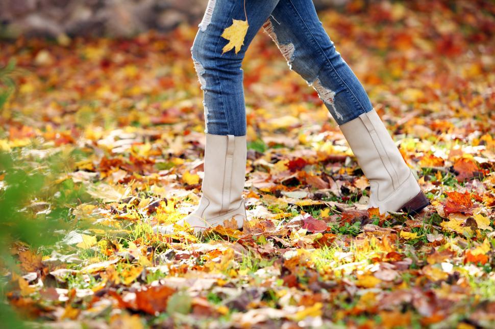 Free Stock Photo of Walking in Autumn leaves | Download Free Images and ...