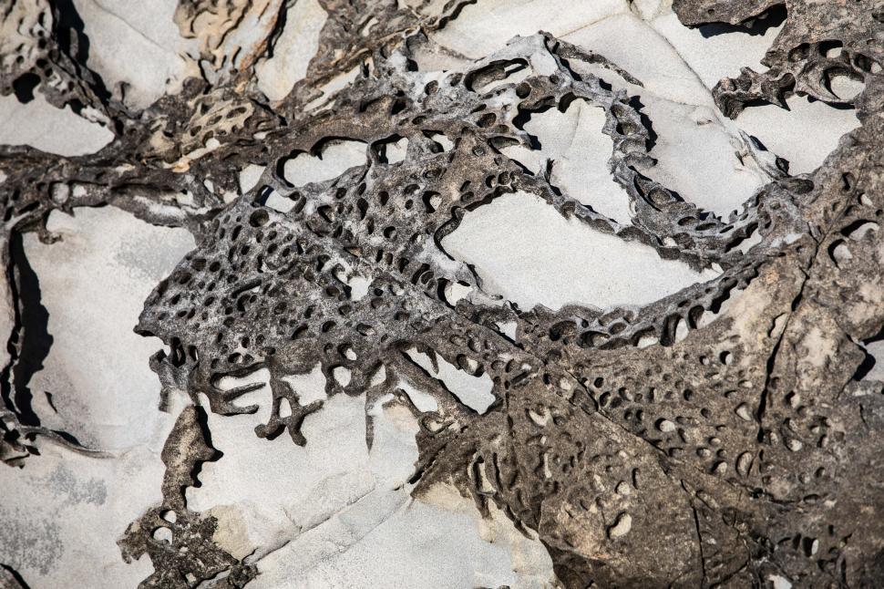 Free Stock Photo of Holes and patterns worn into rocks near the ocean ...