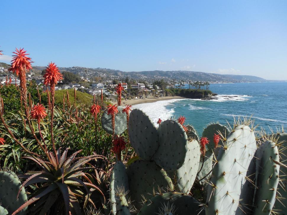 Free Stock Photo of Laguna Beach, California | Download Free Images and ...