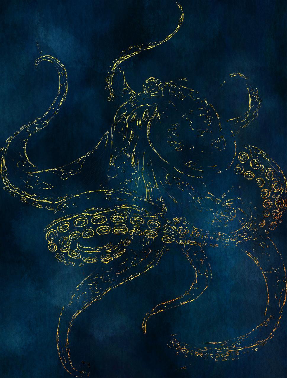Free Stock Photo of The Mimetic and Subtle Octopus | Download Free ...