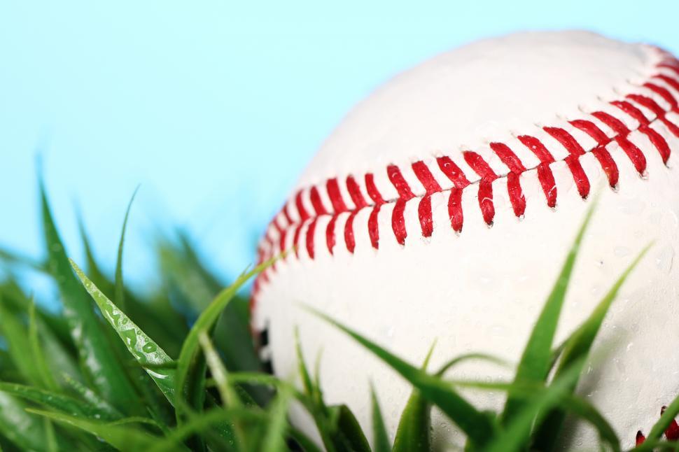 Free Stock Photo of Baseball sits in green grass | Download Free Images ...