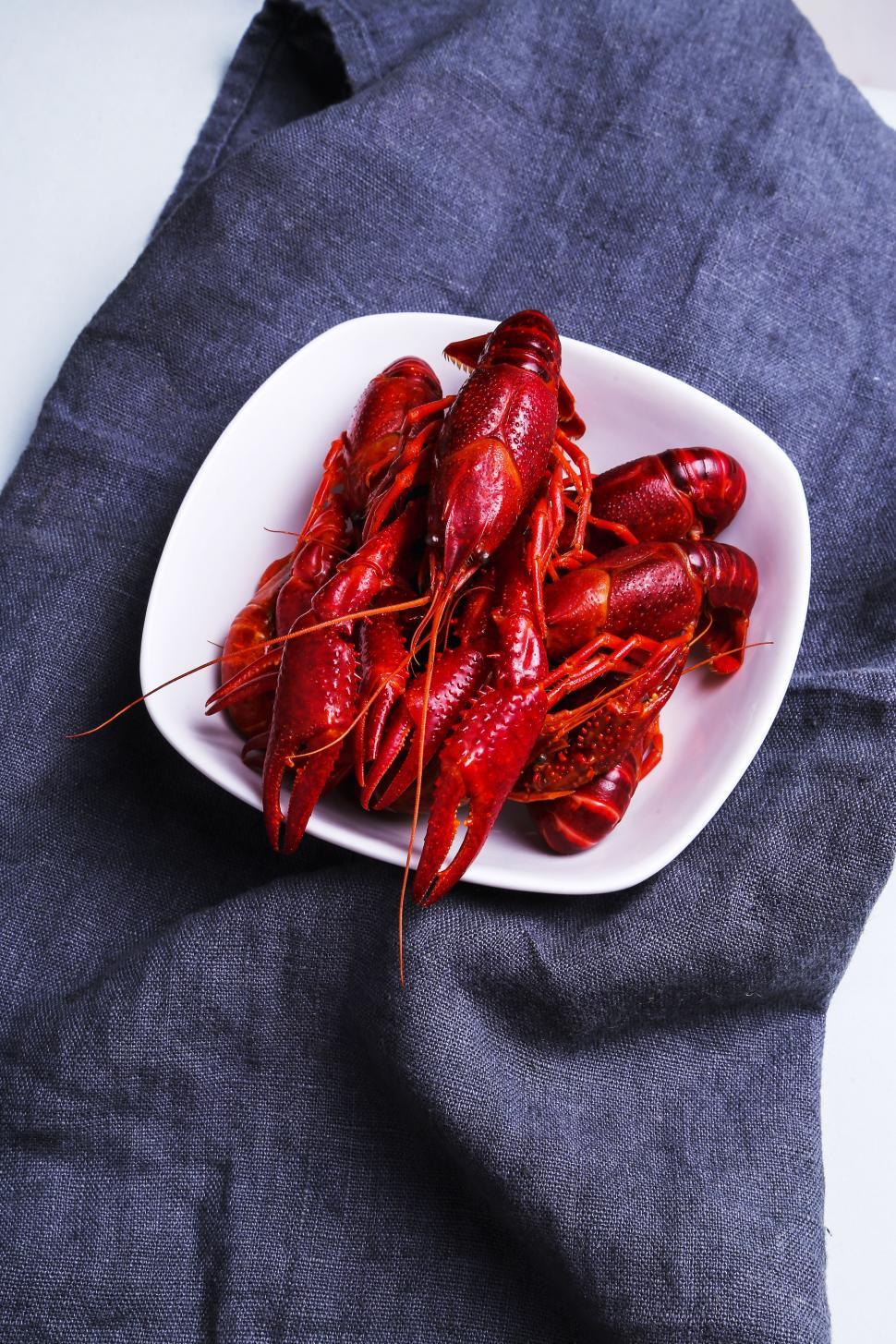 Free Stock Photo of Delicious crayfish in a white bowl | Download Free ...