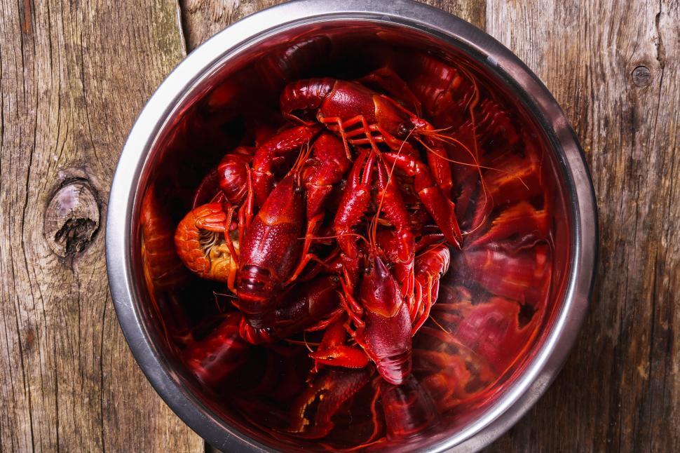 Free Stock Photo of Pile of crayfish in a metal pot | Download Free ...