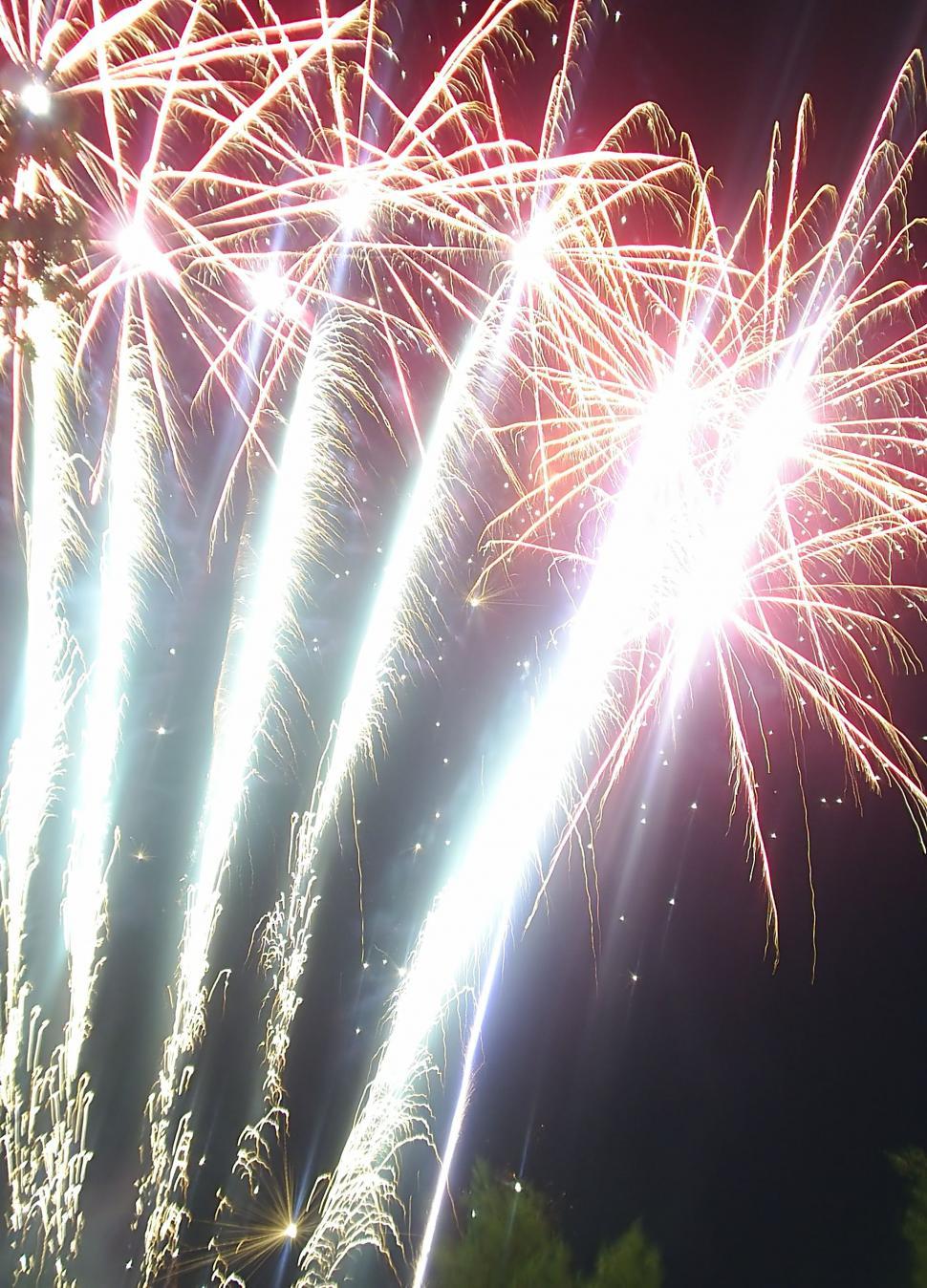 Free Stock Photo of Fireworks over the night sky | Download Free Images ...
