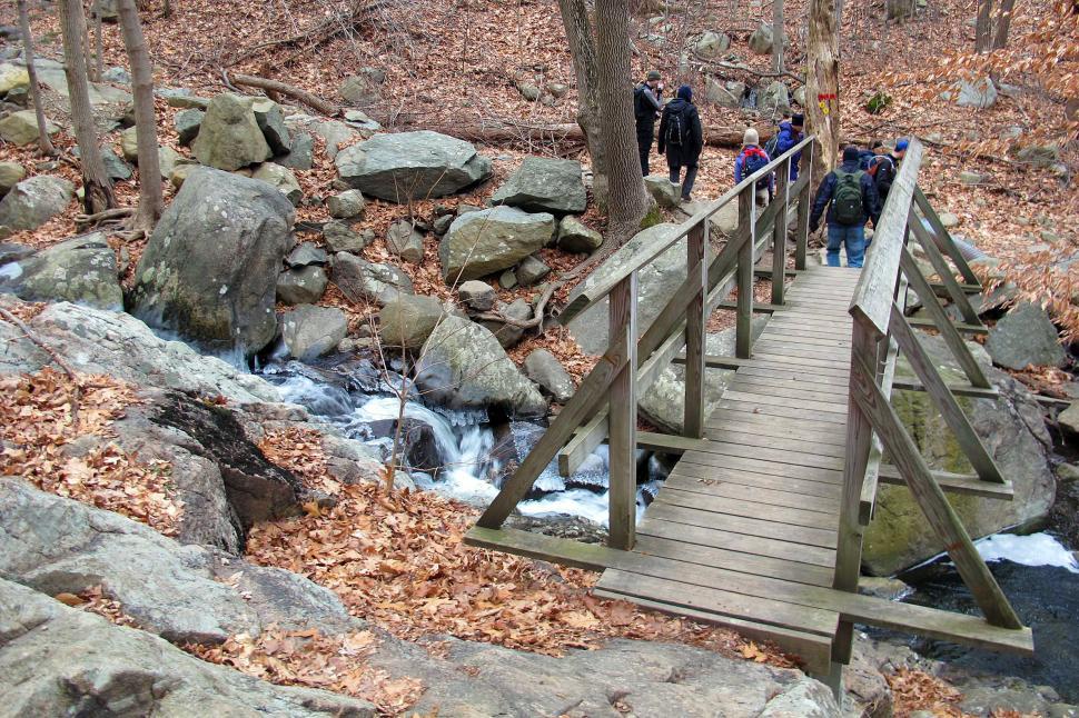 Free Stock Photo of Wooden Bridge Across Stream | Download Free Images ...