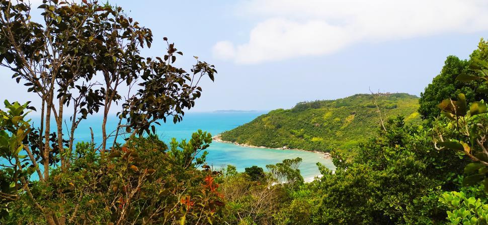 Free Stock Photo of Ocean view through trees | Download Free Images and ...