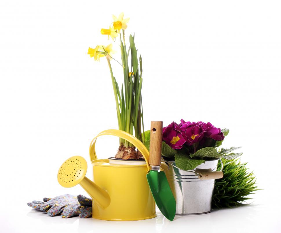 Free Stock Photo of Gardening stuff | Download Free Images and Free ...