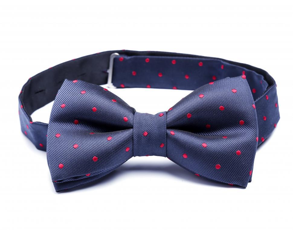 Free Stock Photo of Bow tie on white | Download Free Images and Free ...