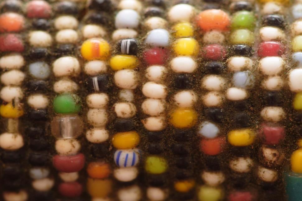 Free Stock Photo of Beadwork | Download Free Images and Free Illustrations