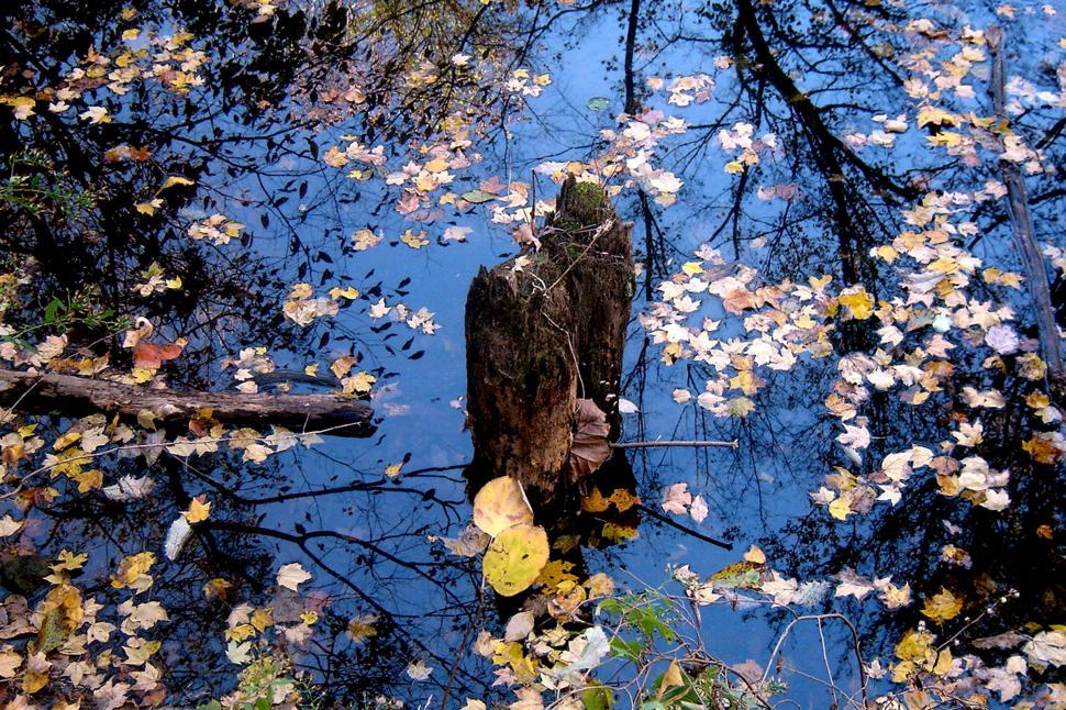 Free Stock Photo of Fall Blue | Download Free Images and Free Illustrations