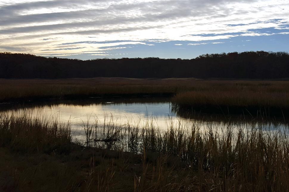 Free Stock Photo of Sun Setting | Download Free Images and Free ...