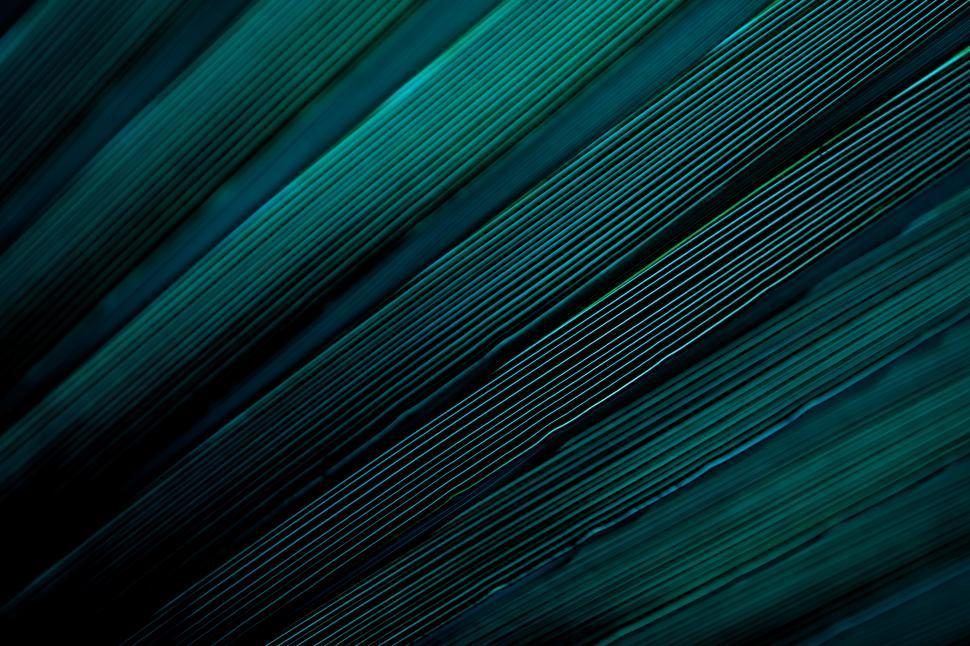 Free Stock Photo of green vegetal background texture | Download Free ...