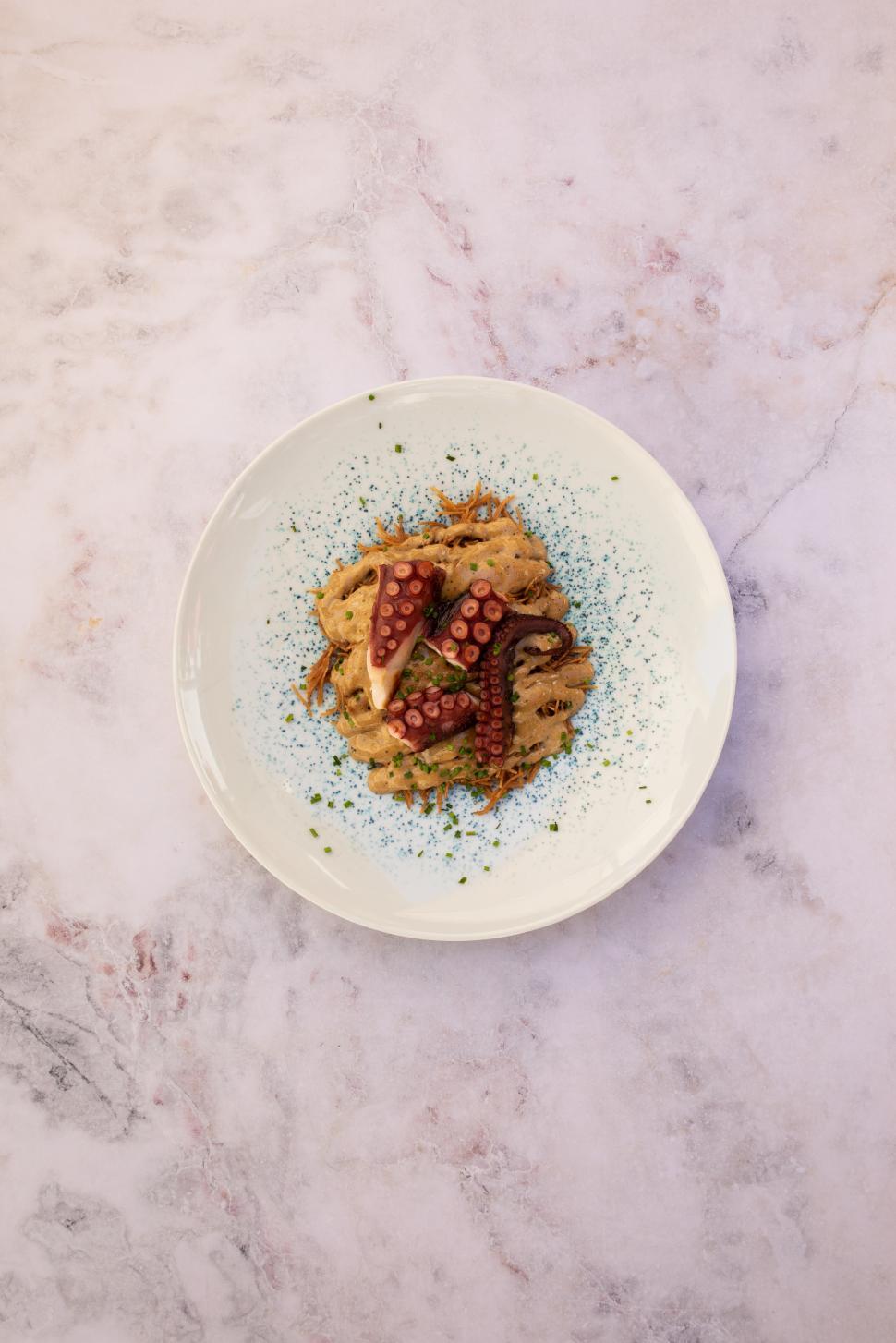 Free Stock Photo of mediterranean seafood cuisine modern still life ...