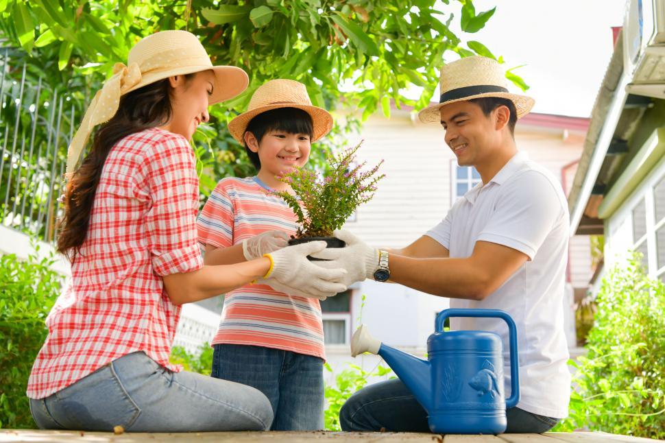 Free Stock Photo of Family planting in the back yard | Download Free ...