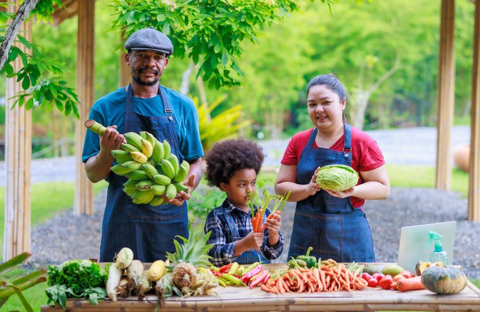 Free Stock Photo of Family farm harvest of fruits and vegetables ...