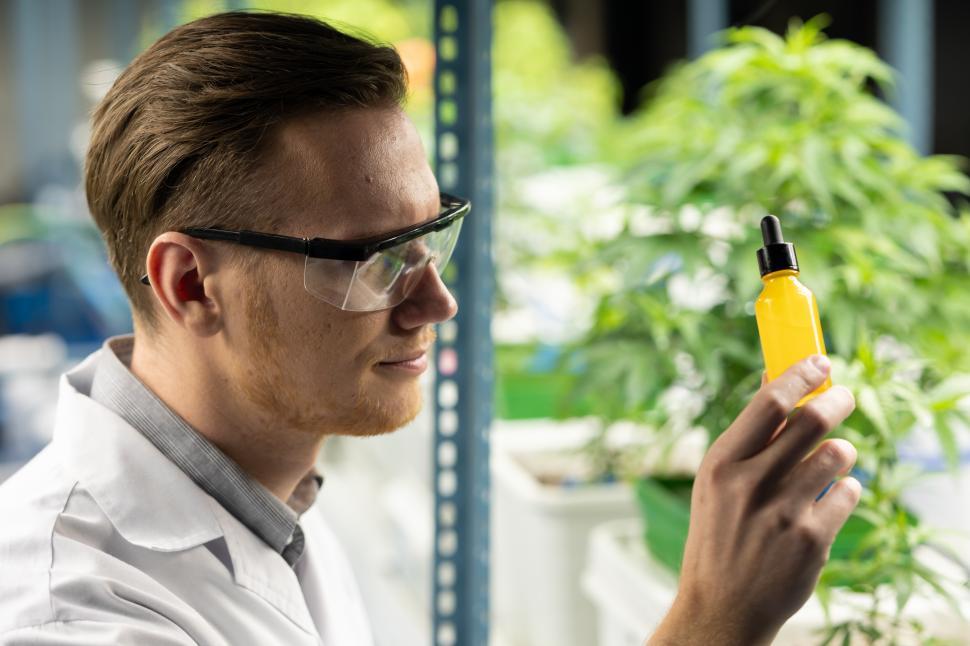 Free Stock Photo of Scientist tests cannabis oil | Download Free Images ...