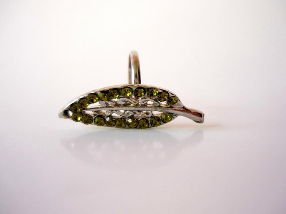 Free Stock Photo of Green Leaf Ring | Download Free Images and Free ...