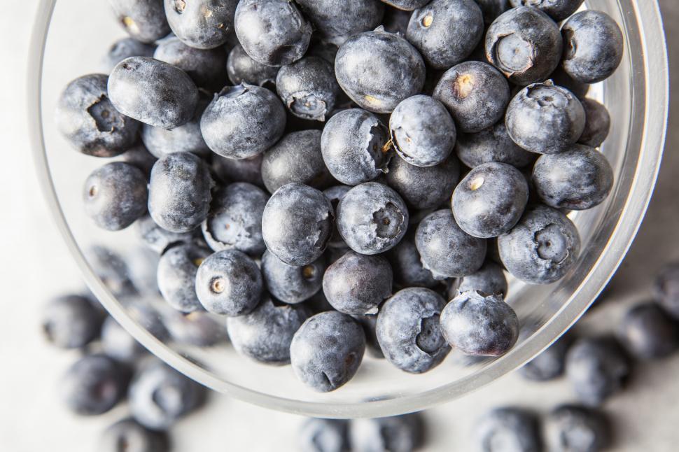 Free Stock Photo of Blueberries Free Stock Photo | Download Free Images ...