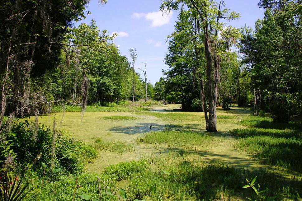 Free Stock Photo of Swap view | Download Free Images and Free Illustrations