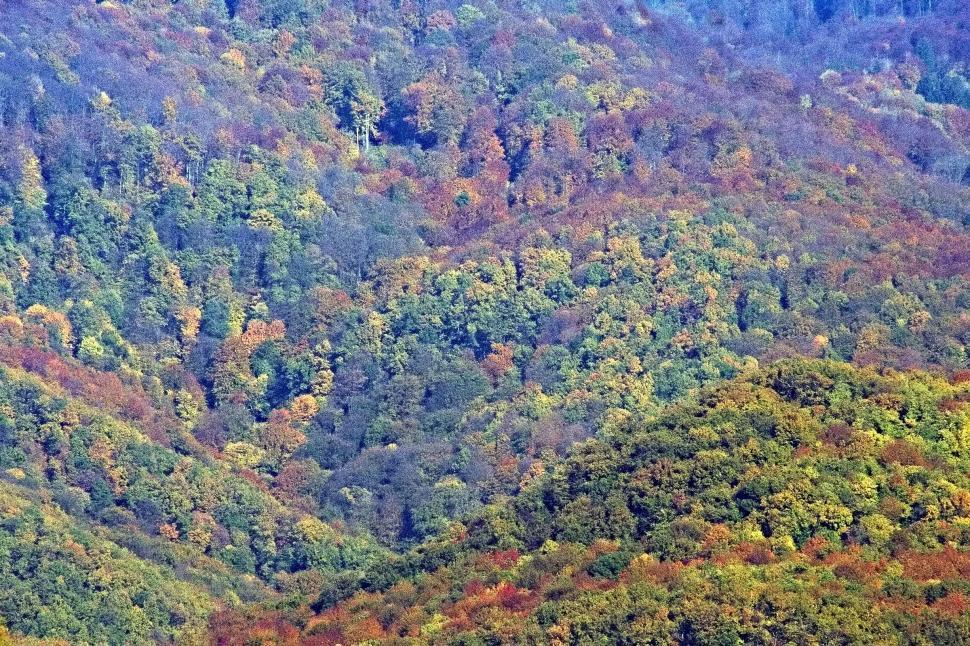 Free Stock Photo of Autumn colors | Download Free Images and Free ...