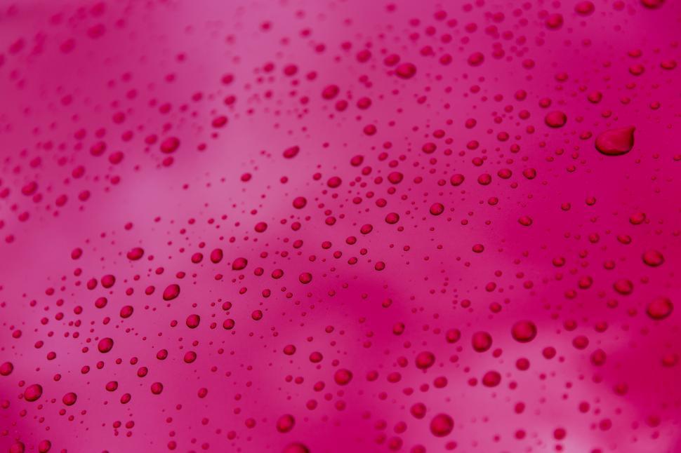 Free Stock Photo of Water droplets on a pink surface | Download Free ...