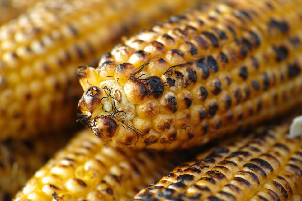 Free Stock Photo of A close up of corn on the cob | Download Free ...