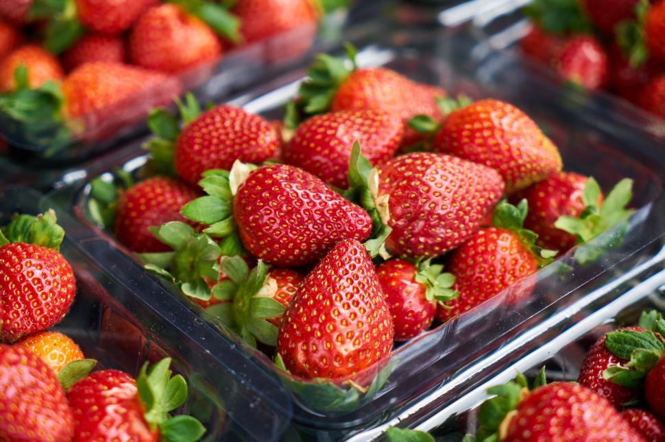 Free Stock Photo of A group of strawberries in plastic containers ...