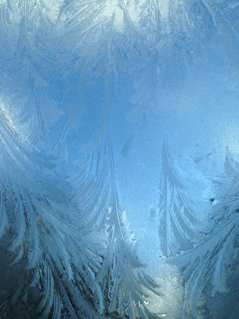 Free Stock Photo of A frosty pattern on a window | Download Free Images ...
