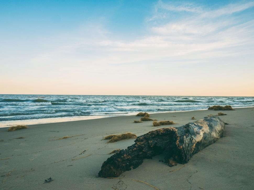 Free Stock Photo of A log on a beach | Download Free Images and Free ...