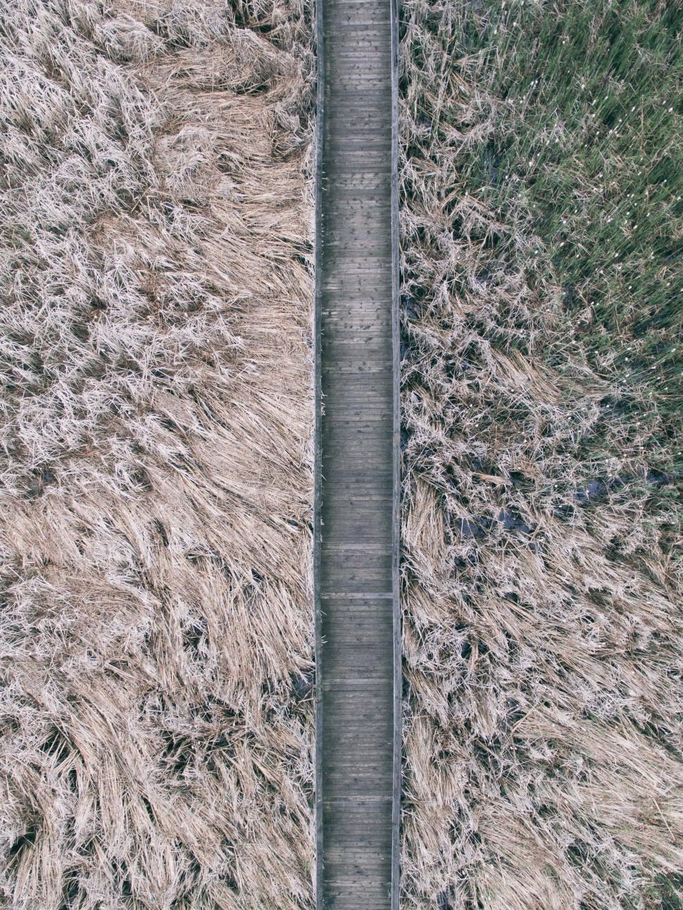 Free Stock Photo of A wooden bridge over a field of grass | Download ...