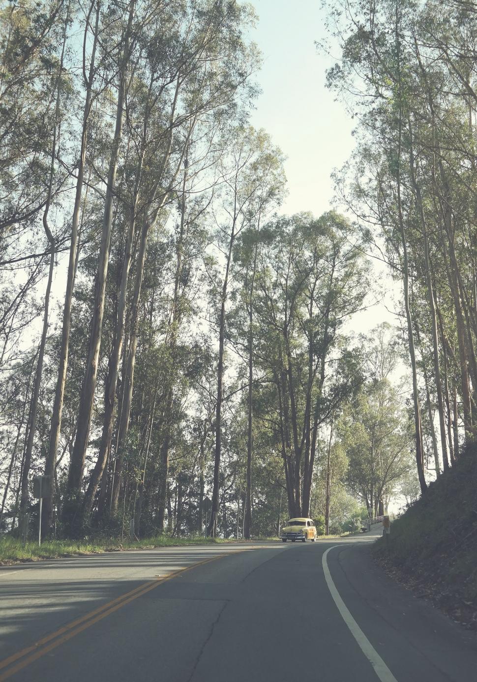 Free Stock Photo of A car driving on a road with trees in the ...