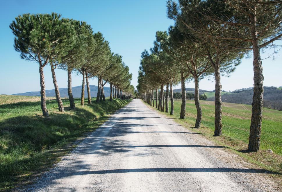 Free Stock Photo of A road with trees on the side | Download Free ...