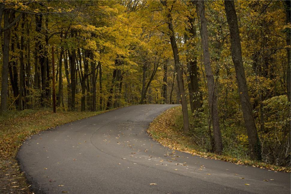 Free Stock Photo of A road with trees around it | Download Free Images ...