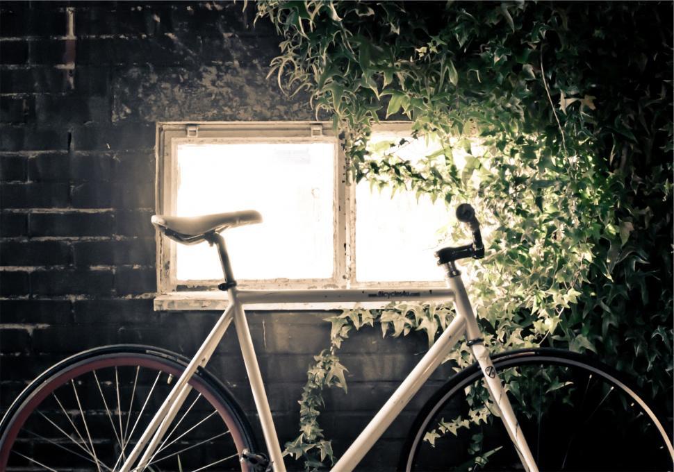Free Stock Photo of A white bicycle in front of a window | Download ...