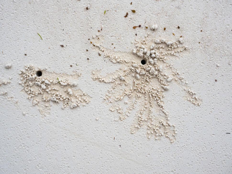 Free Stock Photo of A group of sand holes | Download Free Images and ...