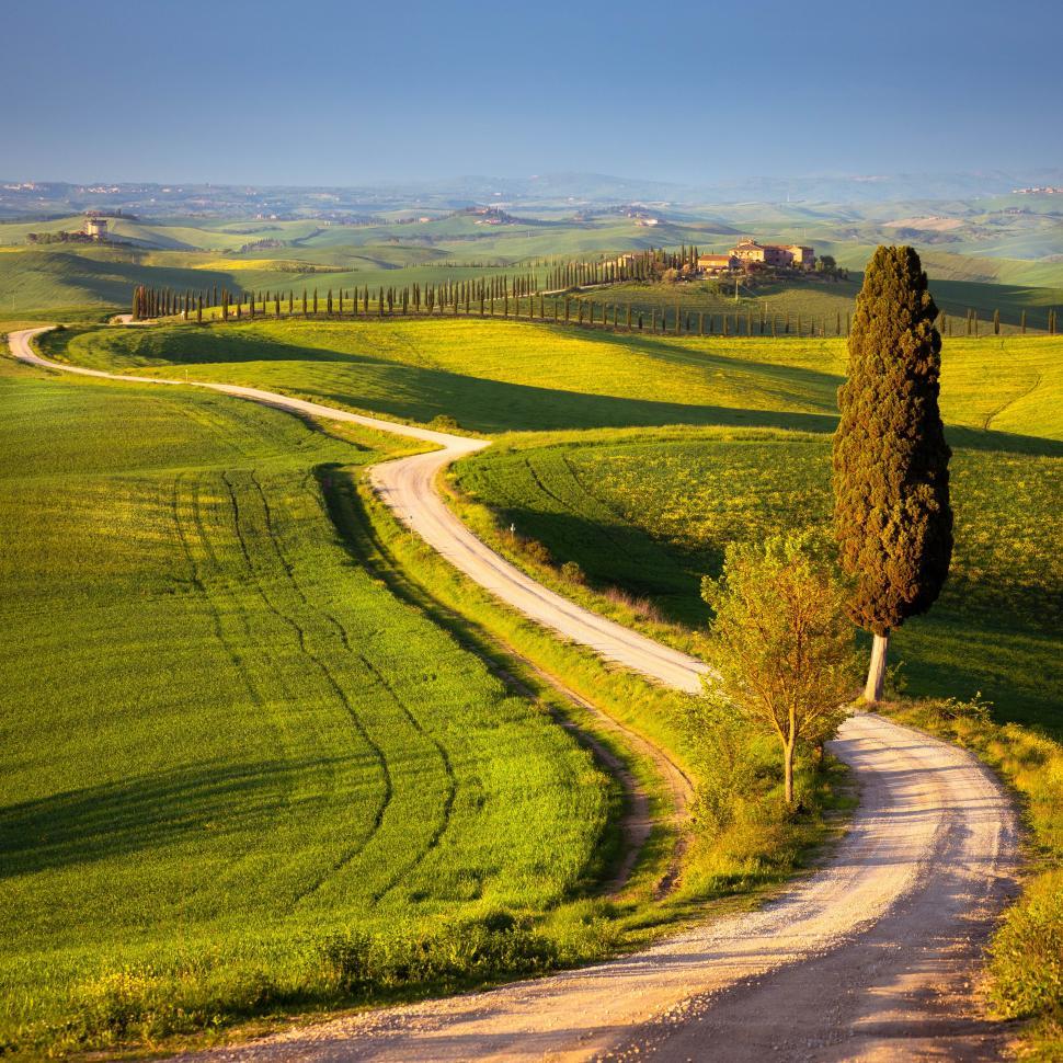 Free Stock Photo of A road in a field | Download Free Images and Free ...