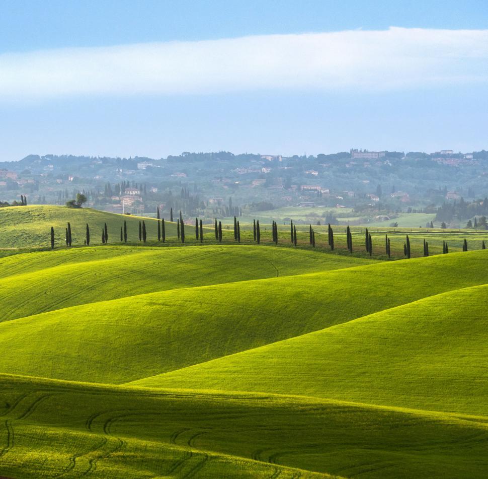 Free Stock Photo of A green rolling hills with trees and a road ...