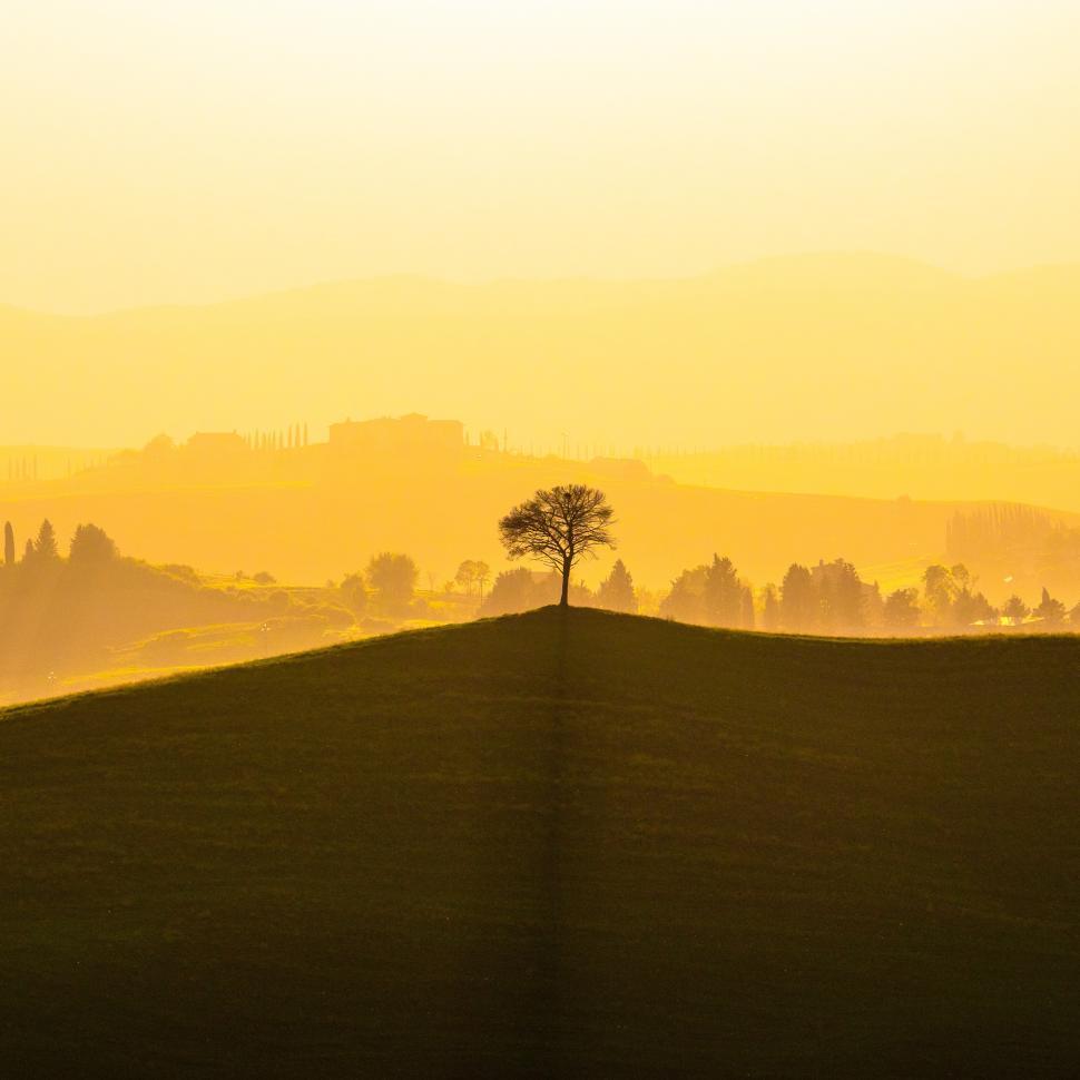 Free Stock Photo of A tree on a hill | Download Free Images and Free ...