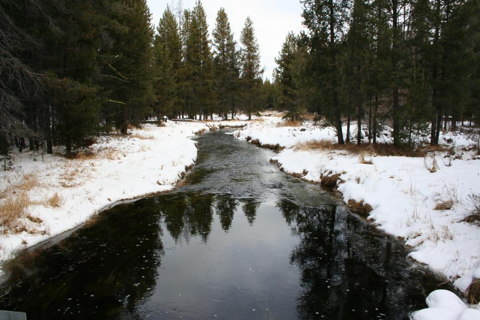 Free Stock Photo of Snow Covered Forest With Stream | Download Free ...