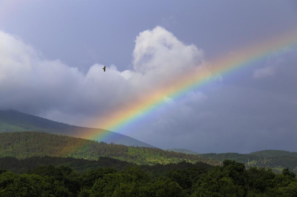 Nature Rainbow Over Mount Rainbow Over The Mountain, Mountain, Forest,