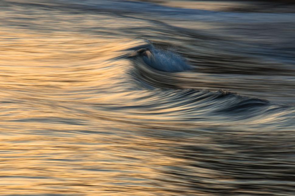 Free Stock Photo of A wave in the water | Download Free Images and Free ...