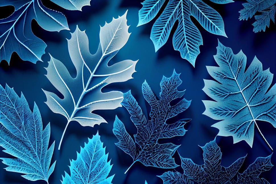 Free Stock Photo of A group of leaves on a blue background | Download ...