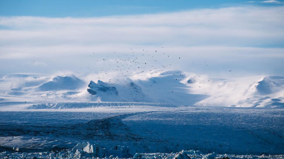 Free Stock Photo of A snowy landscape with birds flying over the ...