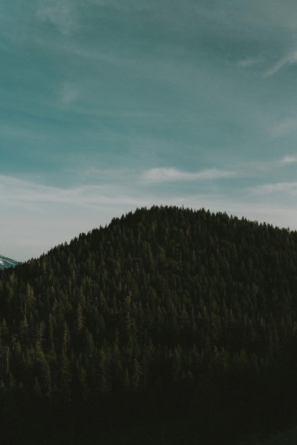 Free Stock Photo of A mountain with trees and blue sky | Download Free ...