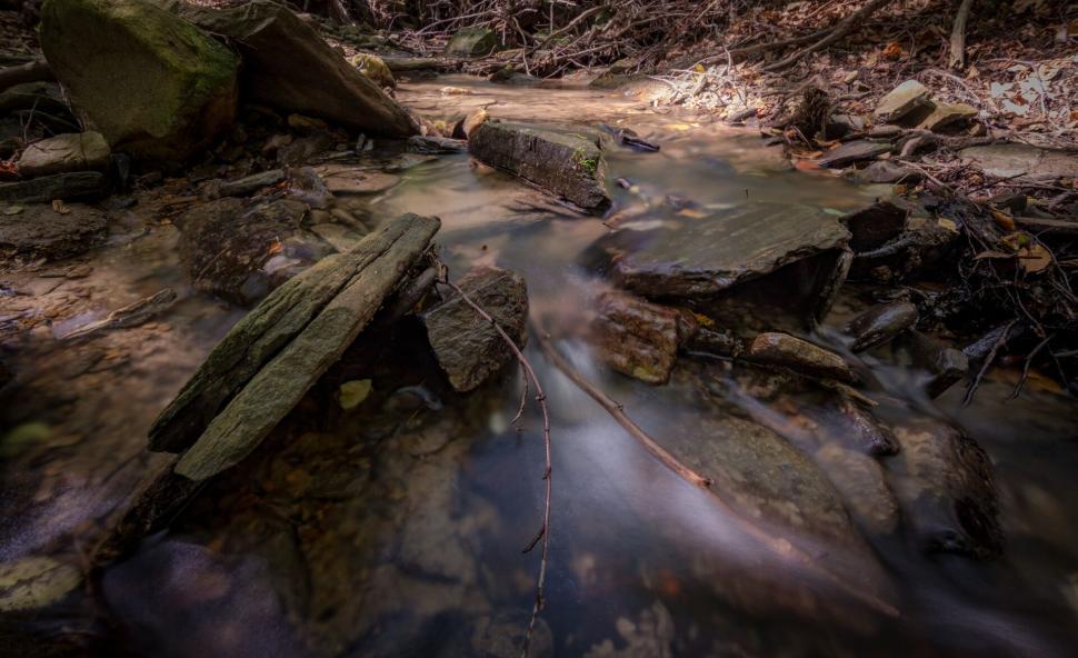 Free Stock Photo of A stream of water with rocks and branches ...
