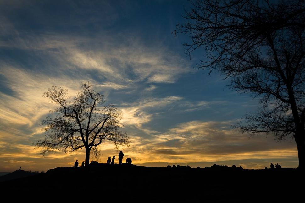 Free Stock Photo of A group of people standing under a tree | Download ...
