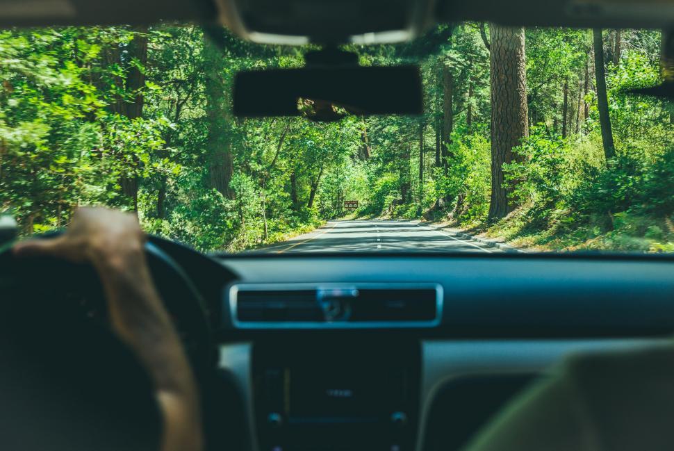 Free Stock Photo of A view from inside of a car on a road through trees ...